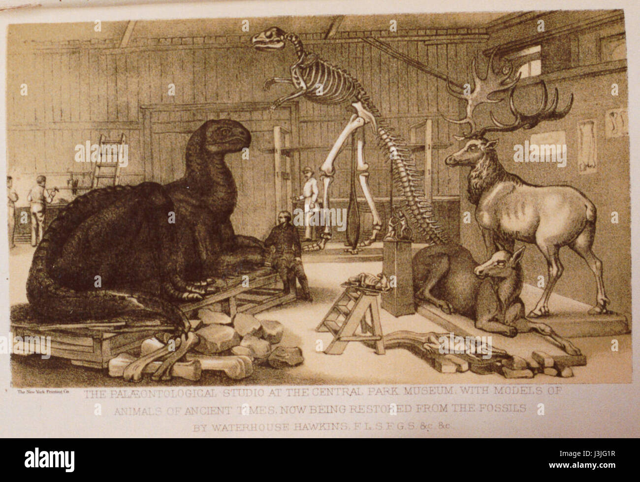 Map of hawkins hi-res stock photography and images - Alamy