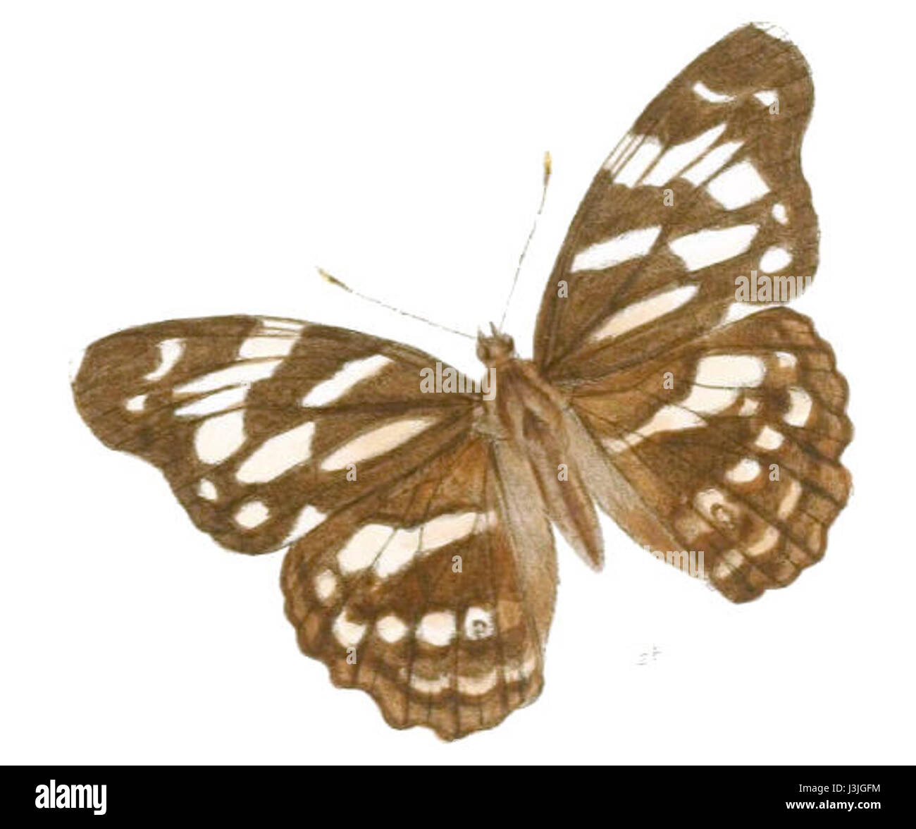 Long rivers Cut Out Stock Images & Pictures - Alamy