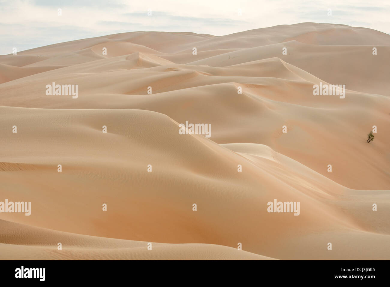 Liwa Oasis, Abu Dhabi , United Arab Emirates -i; sand dunes in desert ...