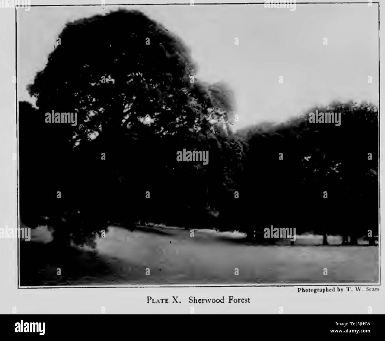 A reference to the landscape designs of Humphry Repton, an influential ...