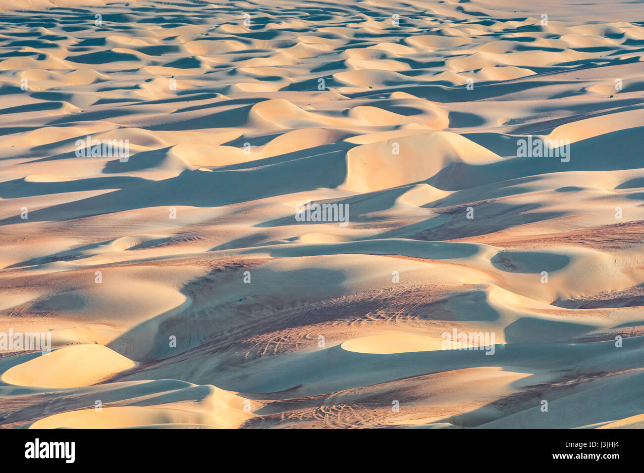 Liwa Oasis, Abu Dhabi , United Arab Emirates -i; vast number of sand ...
