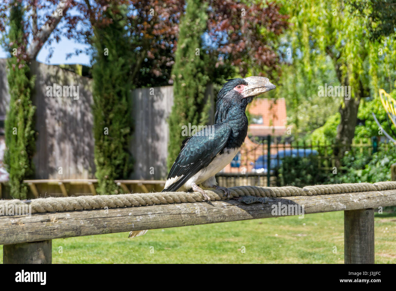 Tropical Butterfly House, Sheffield, Nature Stock Photo - Alamy