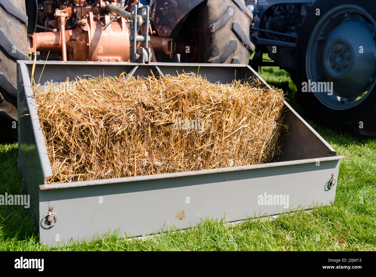 Bale of hay in the rear loader on a classic Massey Ferguson tractor ...