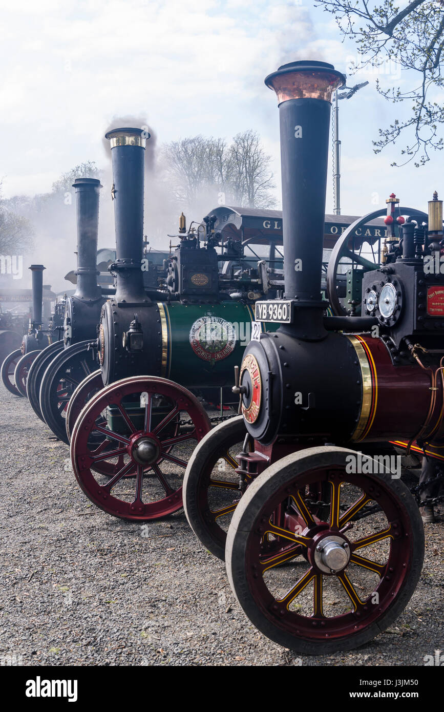 Traditional victorian steam traction engines hi-res stock photography ...