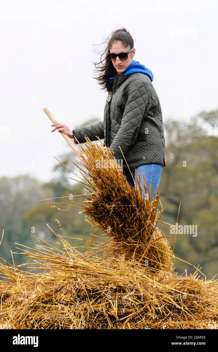 Old fashioned hay stack hi-res stock photography and images - Alamy
