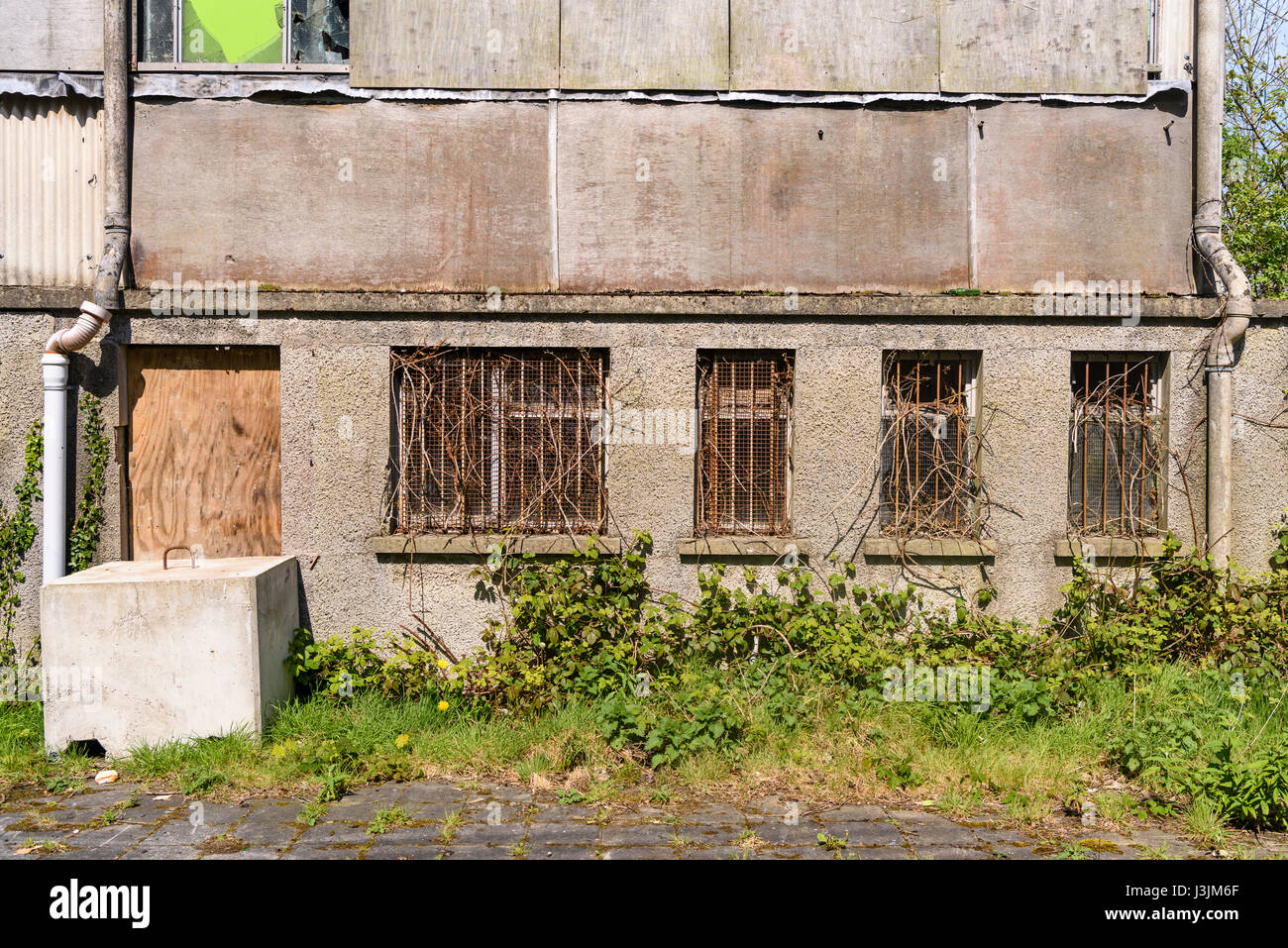 Windows and door off an overgrown, derelict factory Stock Photo - Alamy