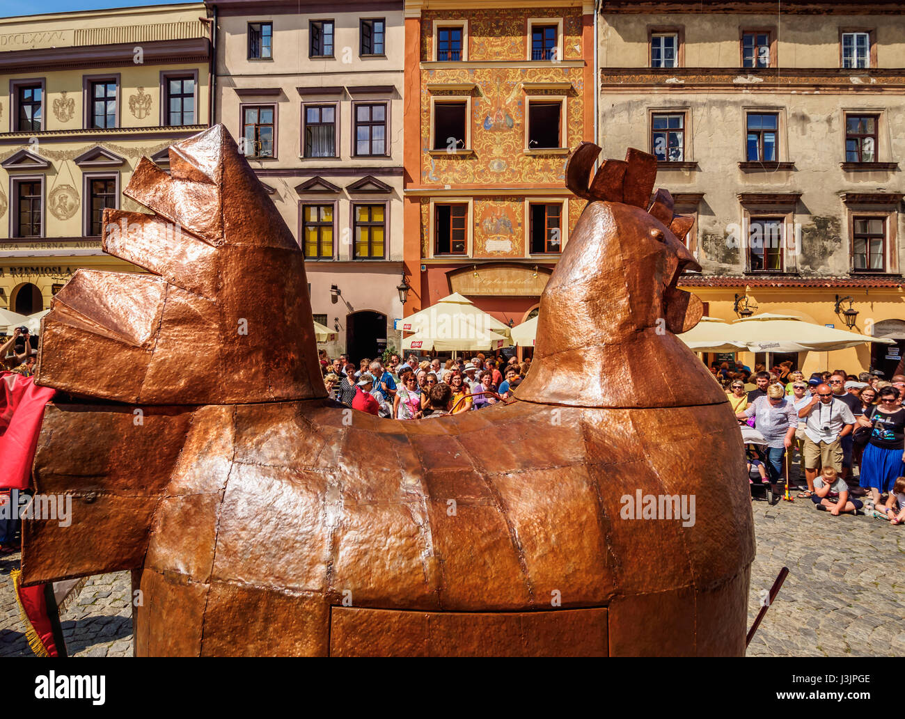Polish hen hi-res stock photography and images - Alamy