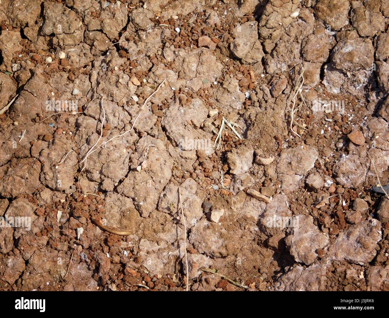 Texture of dry land Stock Photo - Alamy