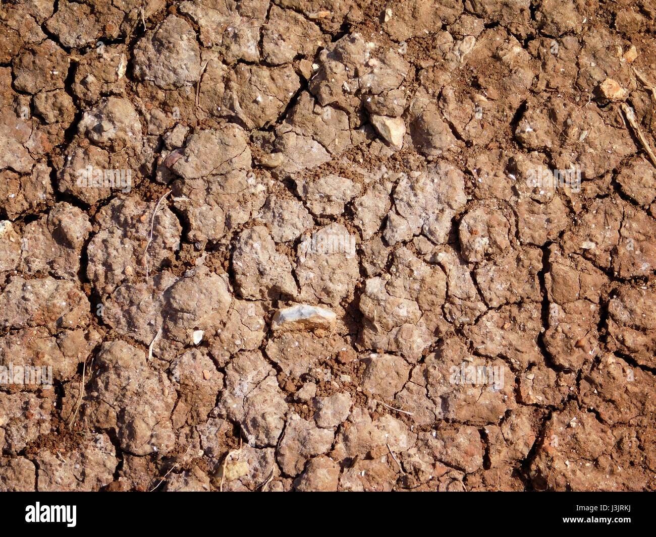 Texture of dry land Stock Photo - Alamy
