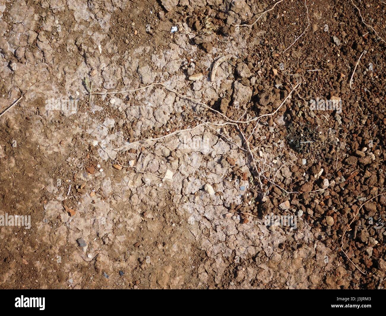 Texture of dry land Stock Photo - Alamy