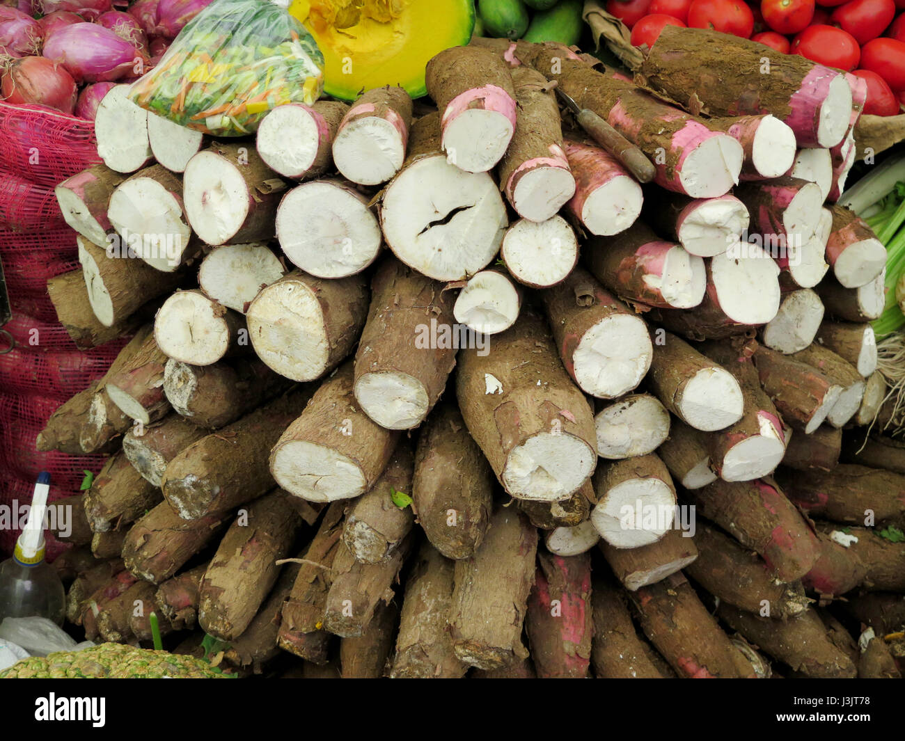Cassava root cross section hi-res stock photography and images - Alamy