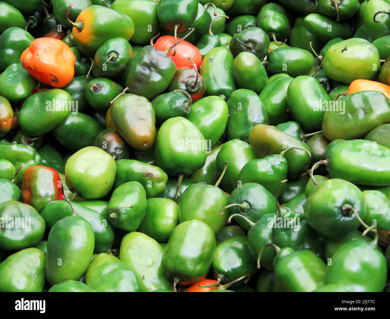 Rocoto pepper peru hi-res stock photography and images - Alamy