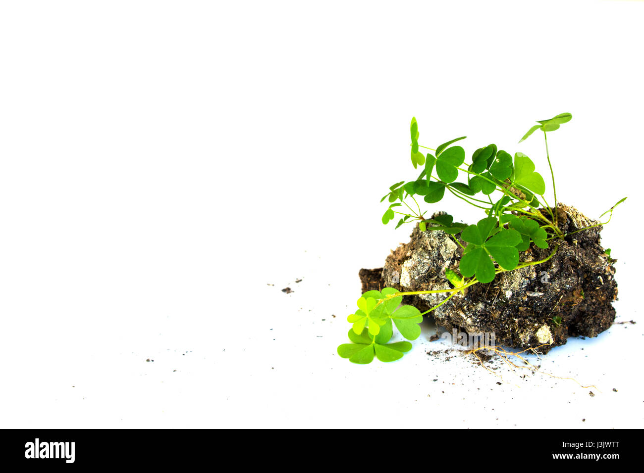 Mini garden farm Cut Out Stock Images & Pictures - Alamy