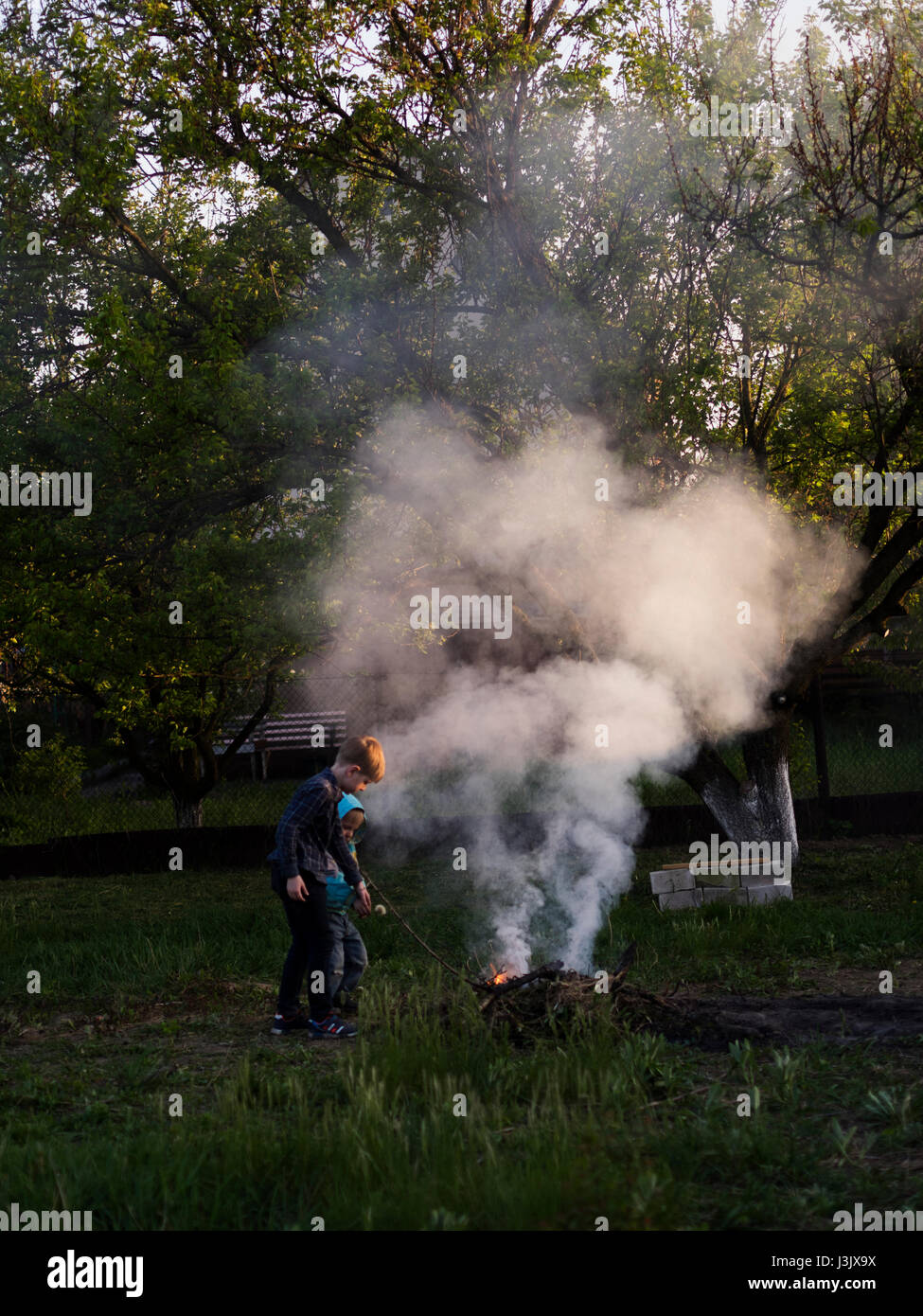 Boys making bonfire at the backyard Stock Photo - Alamy