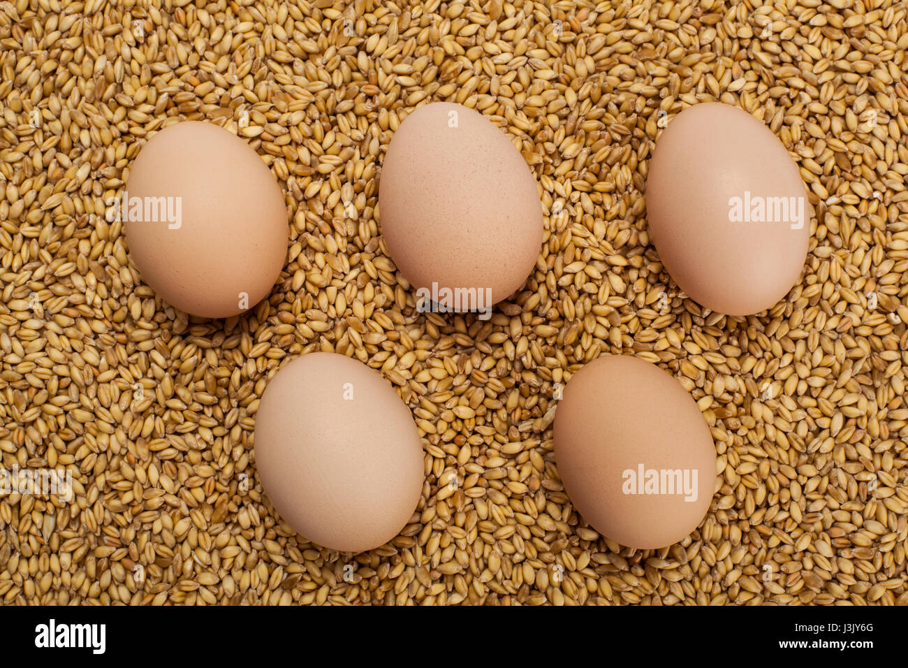 Five grains hi-res stock photography and images - Alamy