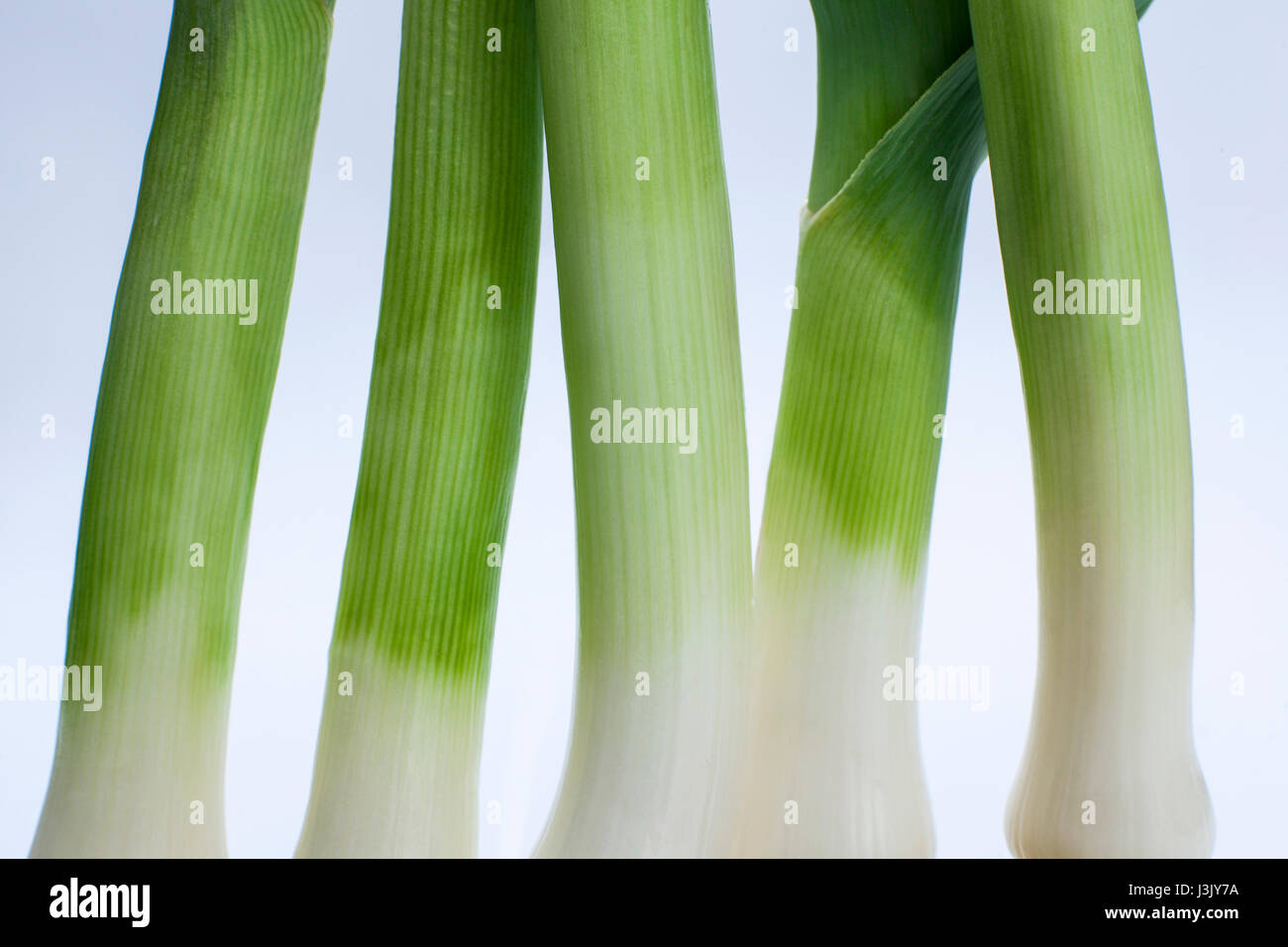 close up of five green onions Stock Photo - Alamy