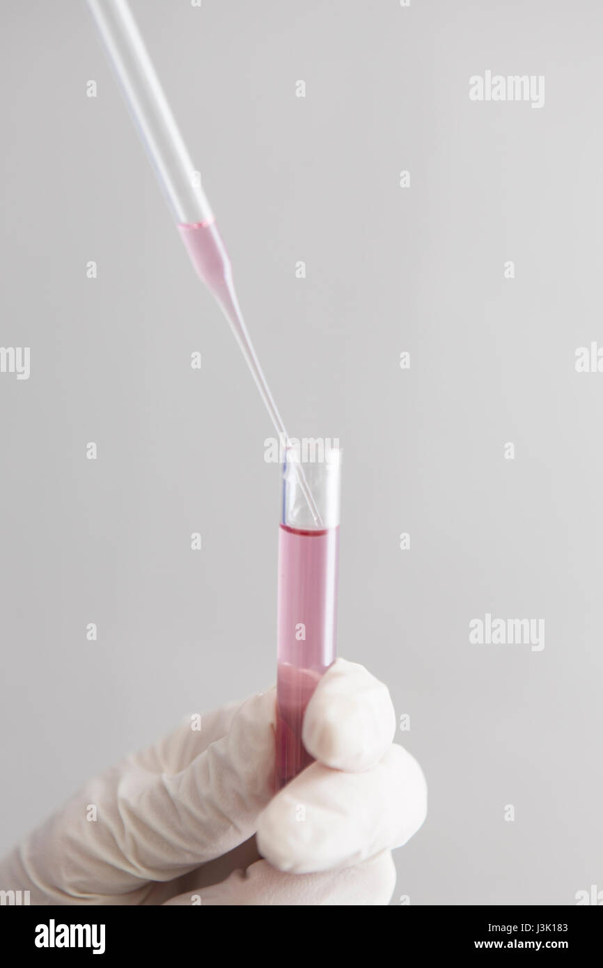 Test-tube in bio lab under studio lights in white background Stock ...