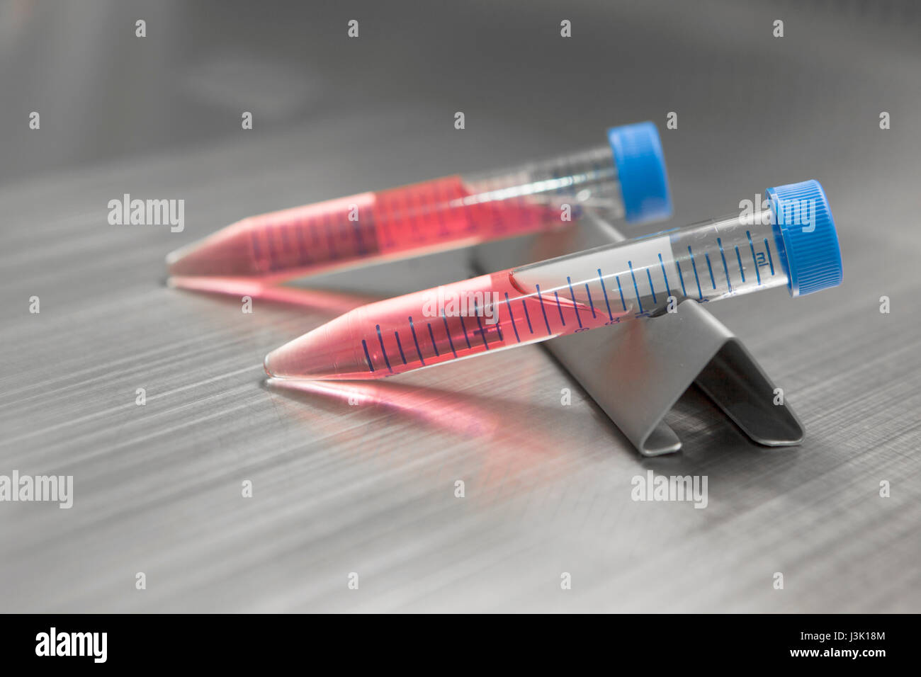 Test-tubes with blood sample in bio lab under studio lights Stock Photo ...