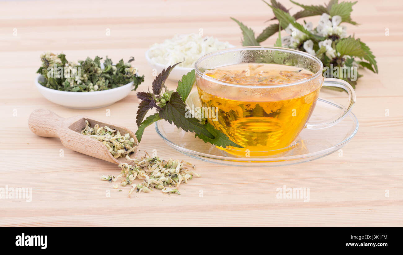 Tea from flowers of the white archangel Stock Photo - Alamy