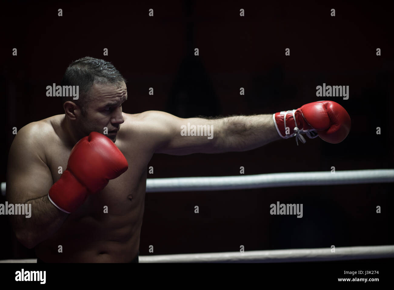 professional kickboxer with hands in martial arts position training for ...