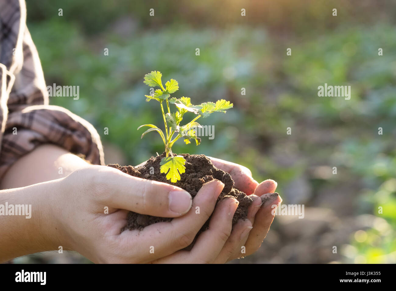 Soil cultivated dirt, earth, ground, agriculture land background ...