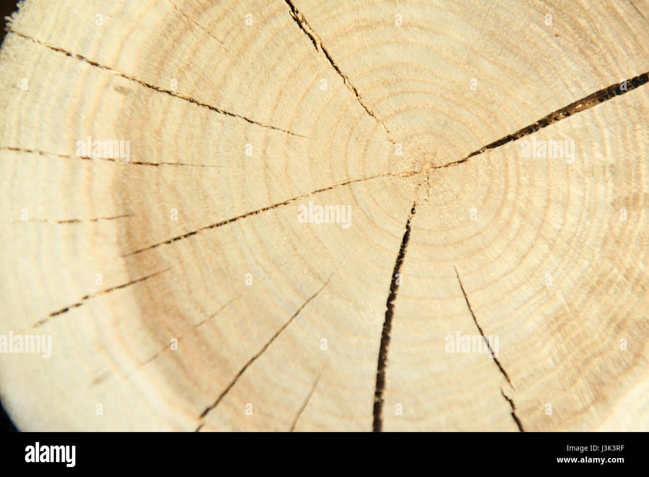 Radial Cracks High Resolution Stock Photography and Images - Alamy