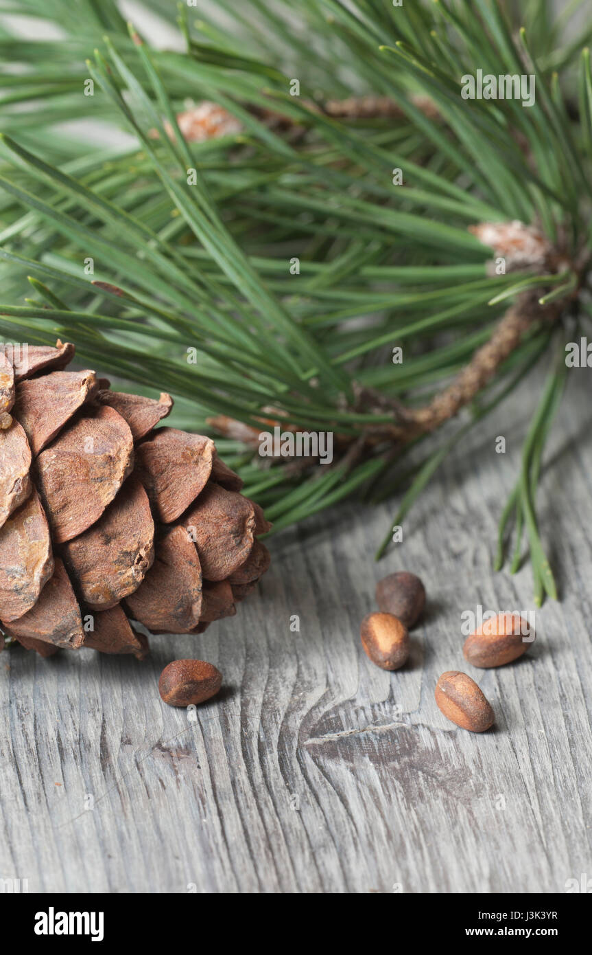 Cedar cone, nuts and needles close up shot Stock Photo - Alamy