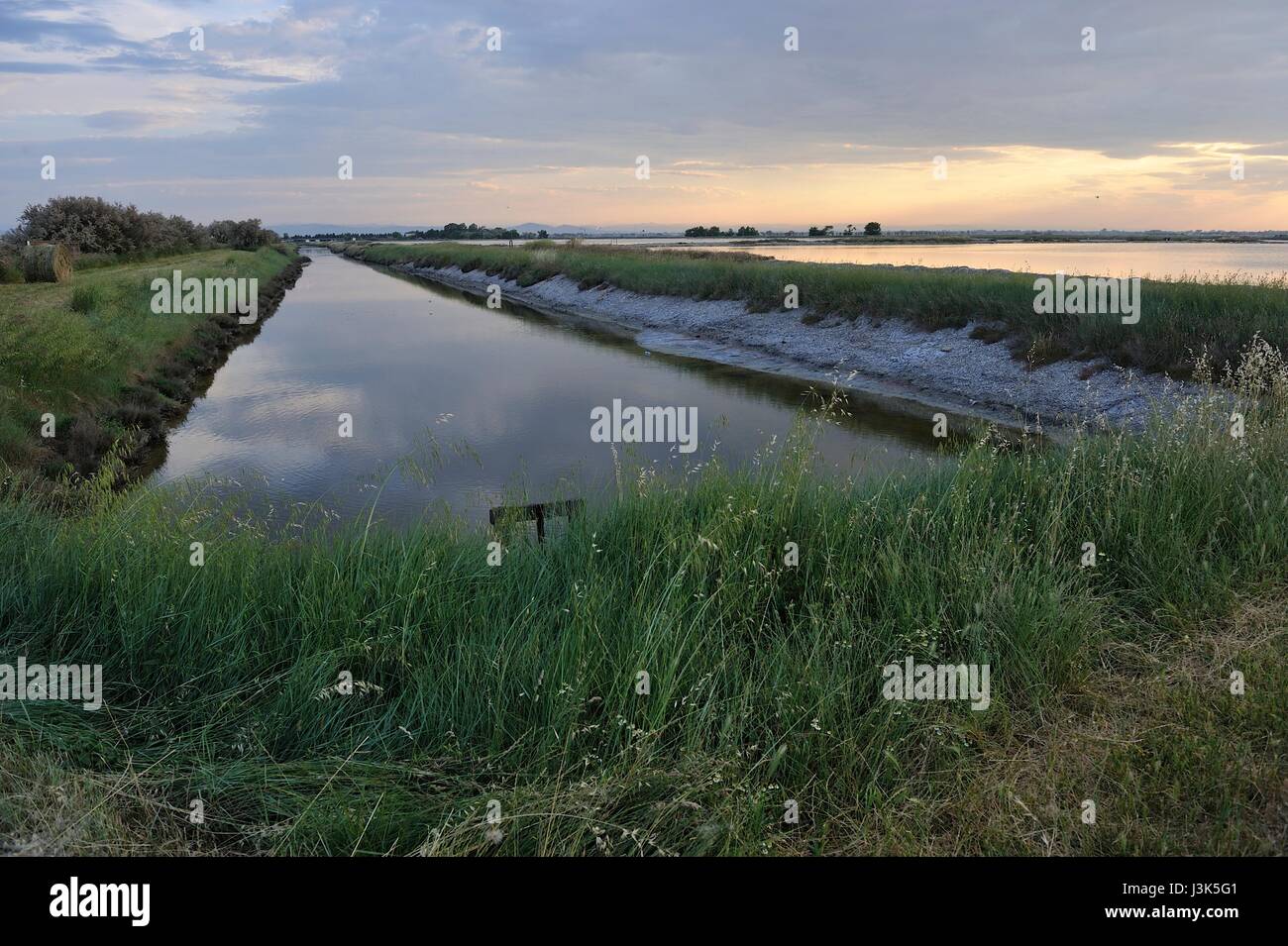 Italy Emilia Romagna Cervia salt flats - saline Cervia Stock Photo - Alamy