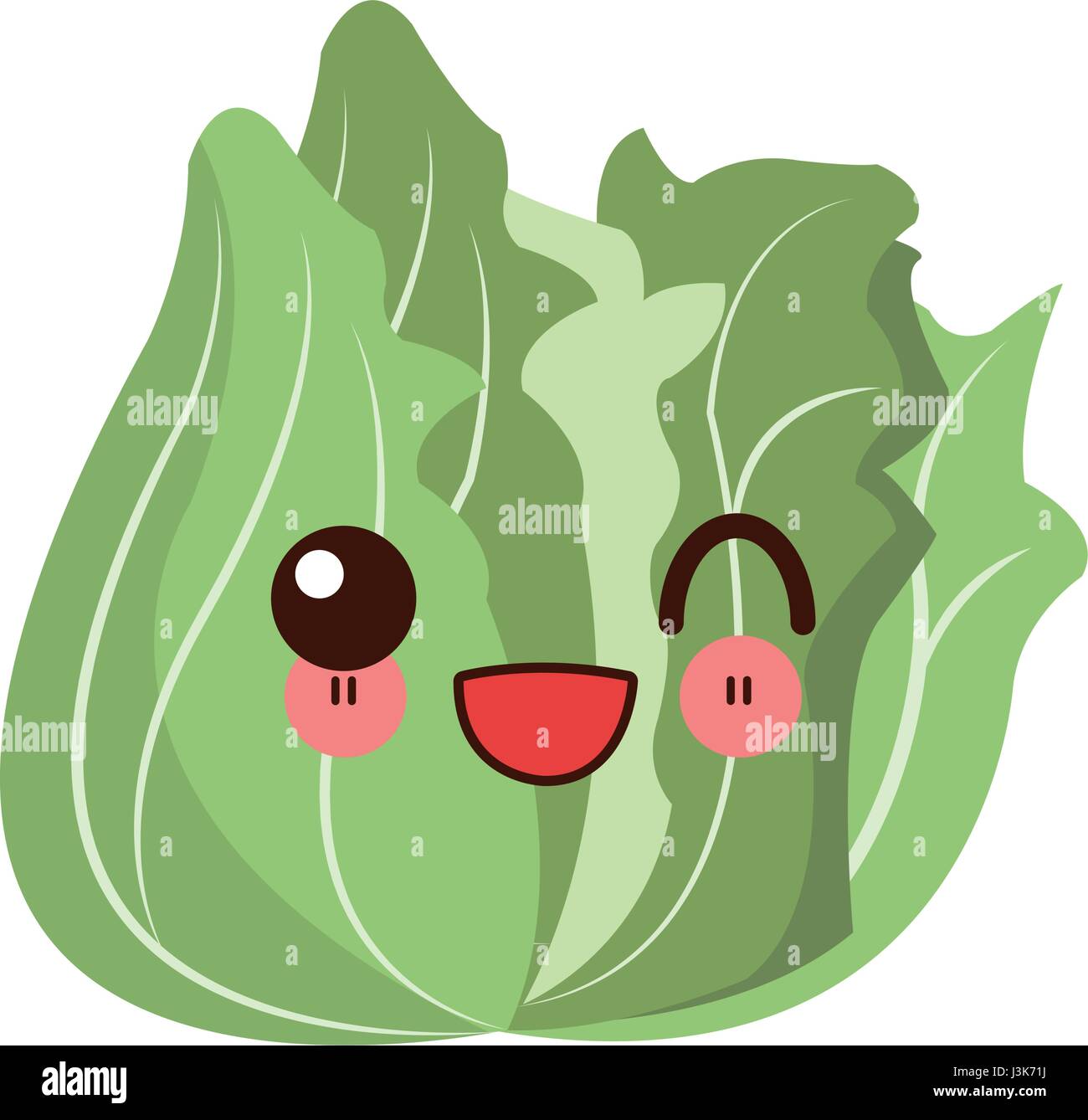 kawaii lettuce vegetable fresh food image vector illustration Stock ...