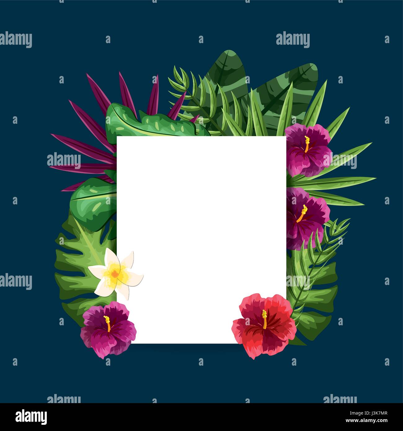 cute framework with exotic flowers plants Stock Vector Image & Art - Alamy