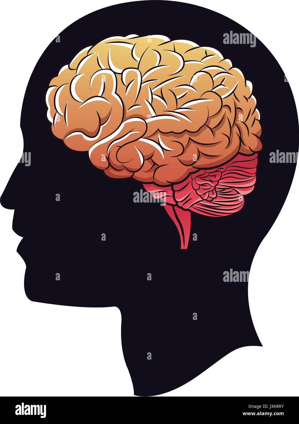 head brain mind idea creativity Stock Vector Image & Art - Alamy