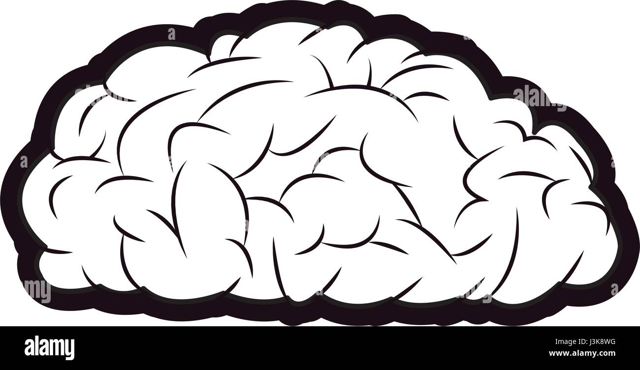 brain mind idea knowledge image outline Stock Vector Image & Art - Alamy