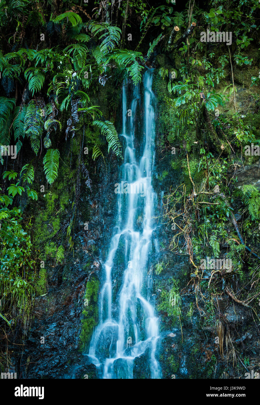 Clean and green waterfall in New Zealand Stock Photo - Alamy