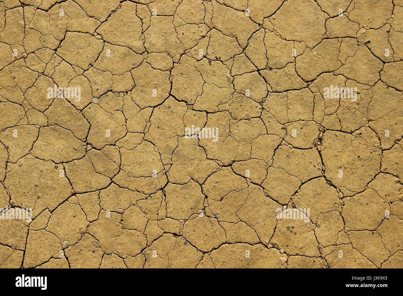 Dried out ground Stock Photo - Alamy