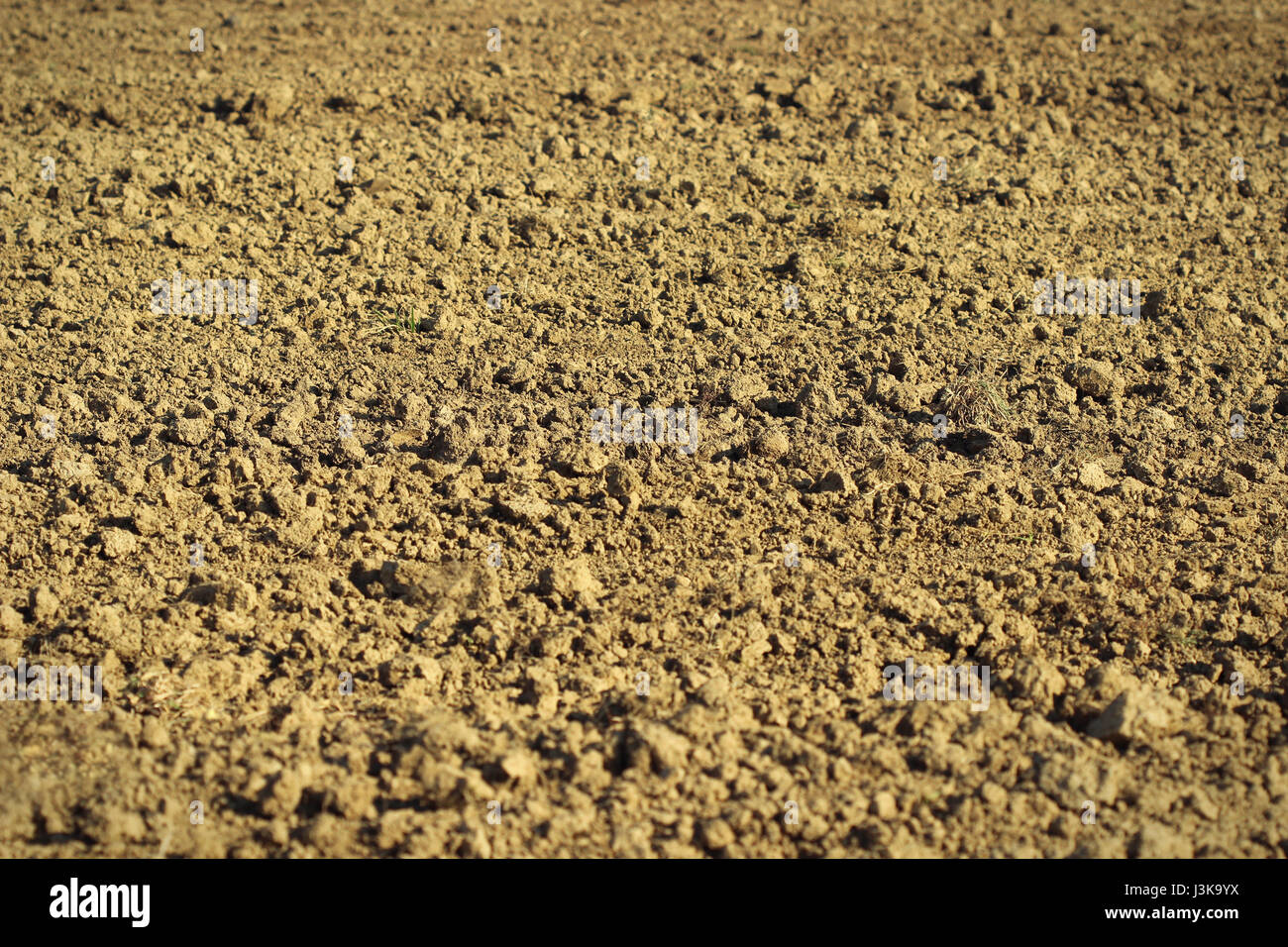 Lump of dirt hi-res stock photography and images - Alamy