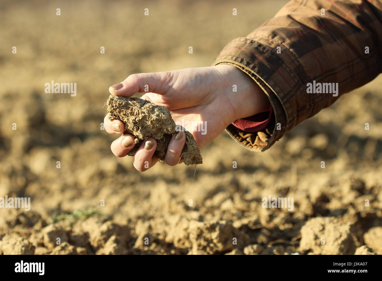 Holding lump of ground in hand Stock Photo - Alamy