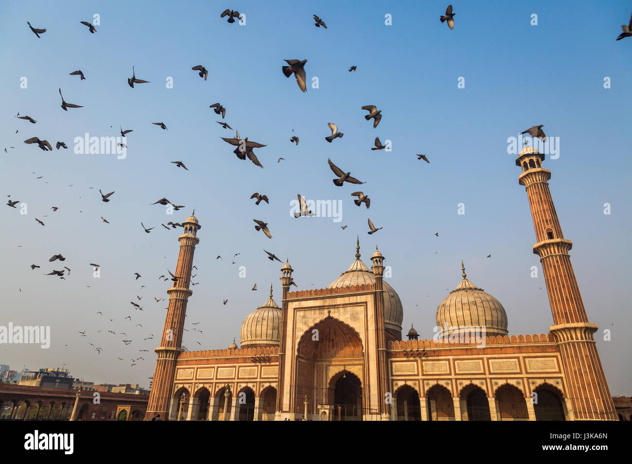 Mughal emperor shah jahan hi-res stock photography and images - Alamy