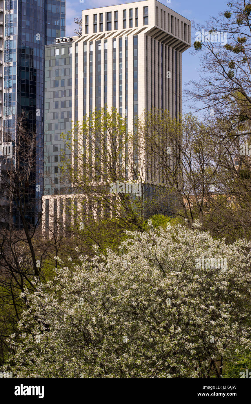 Blossoming Tree at Background of Office Building Stock Photo - Alamy