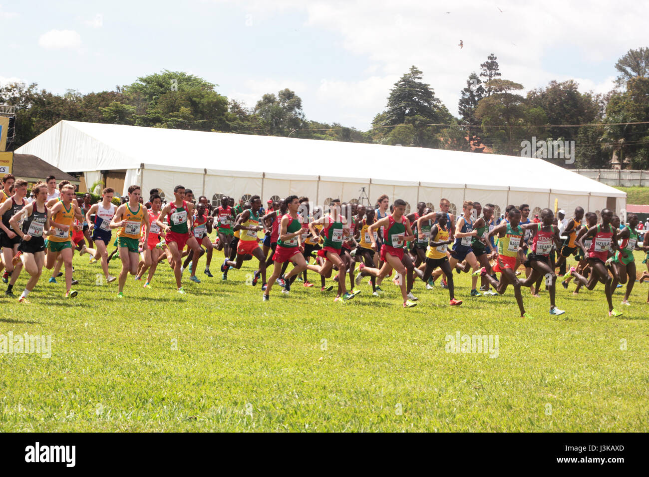 Athletes battle it out during the IAAF World cross Country ...