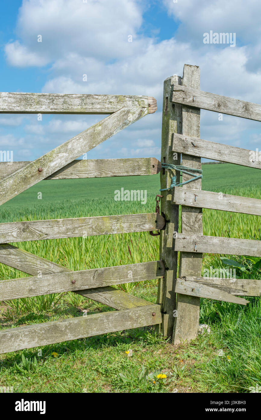 Microsoft azure metaphor hi-res stock photography and images - Alamy