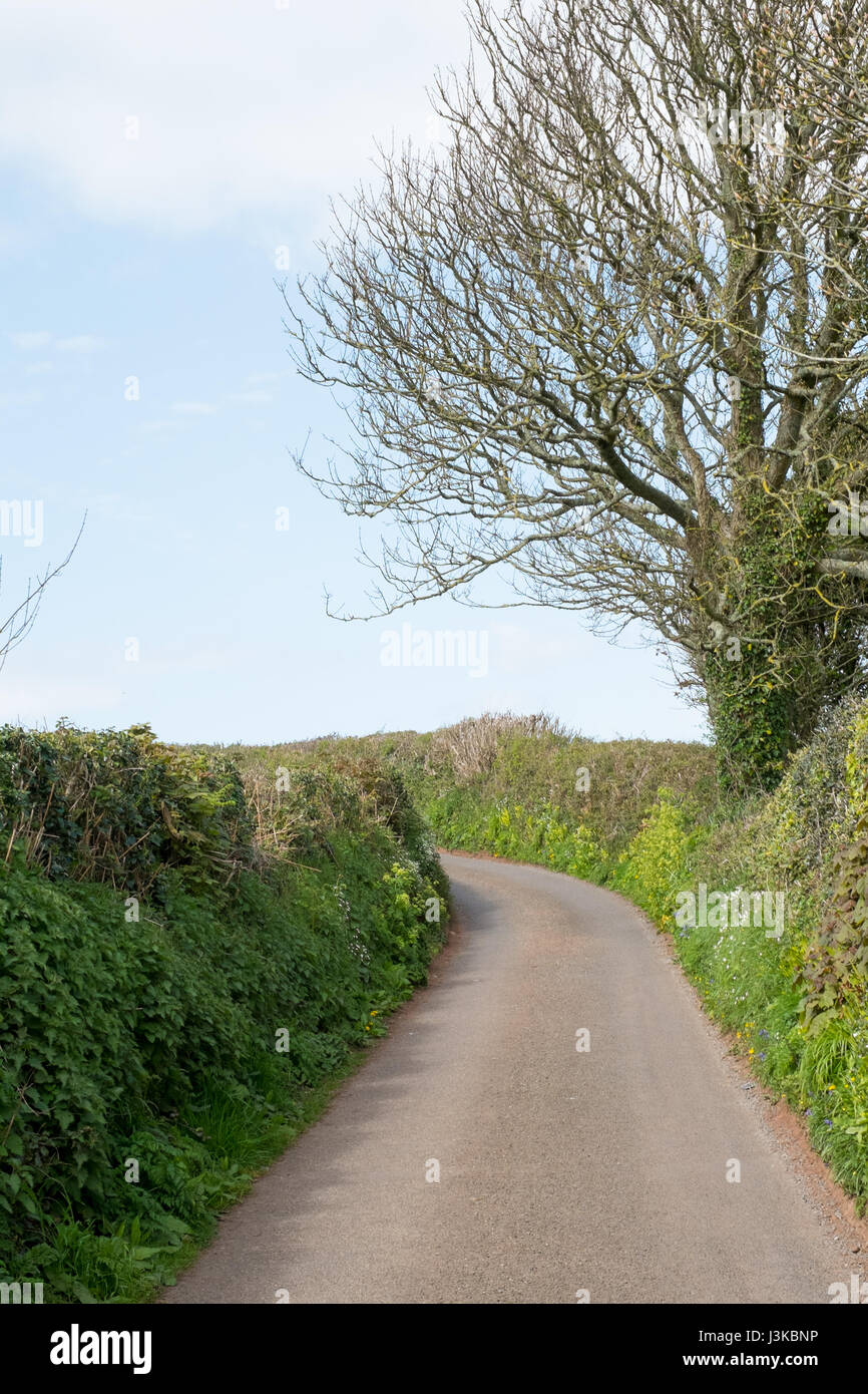 Rural Devon Lane High Resolution Stock Photography and Images - Alamy