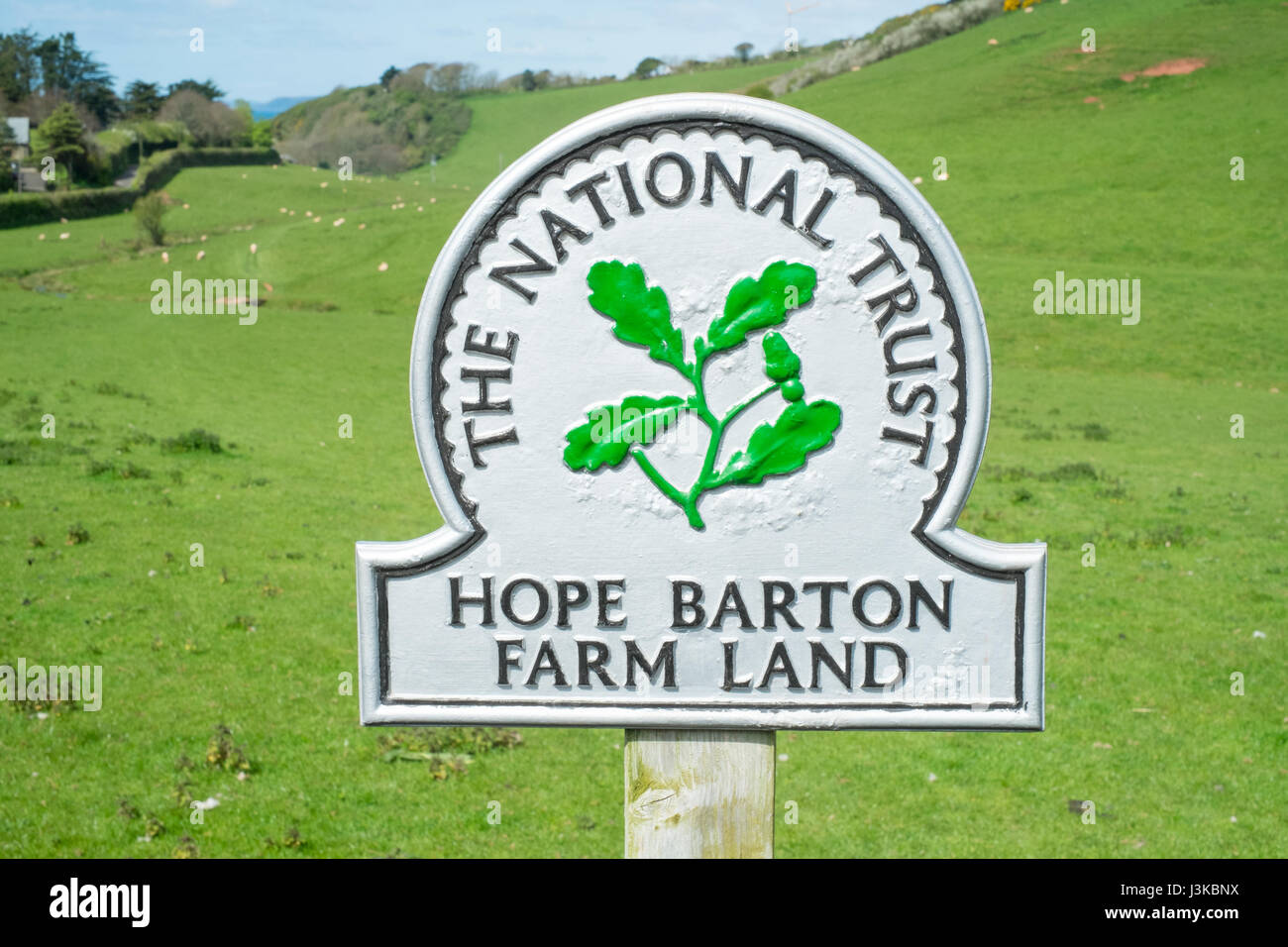 Barton farm devon hi-res stock photography and images - Alamy