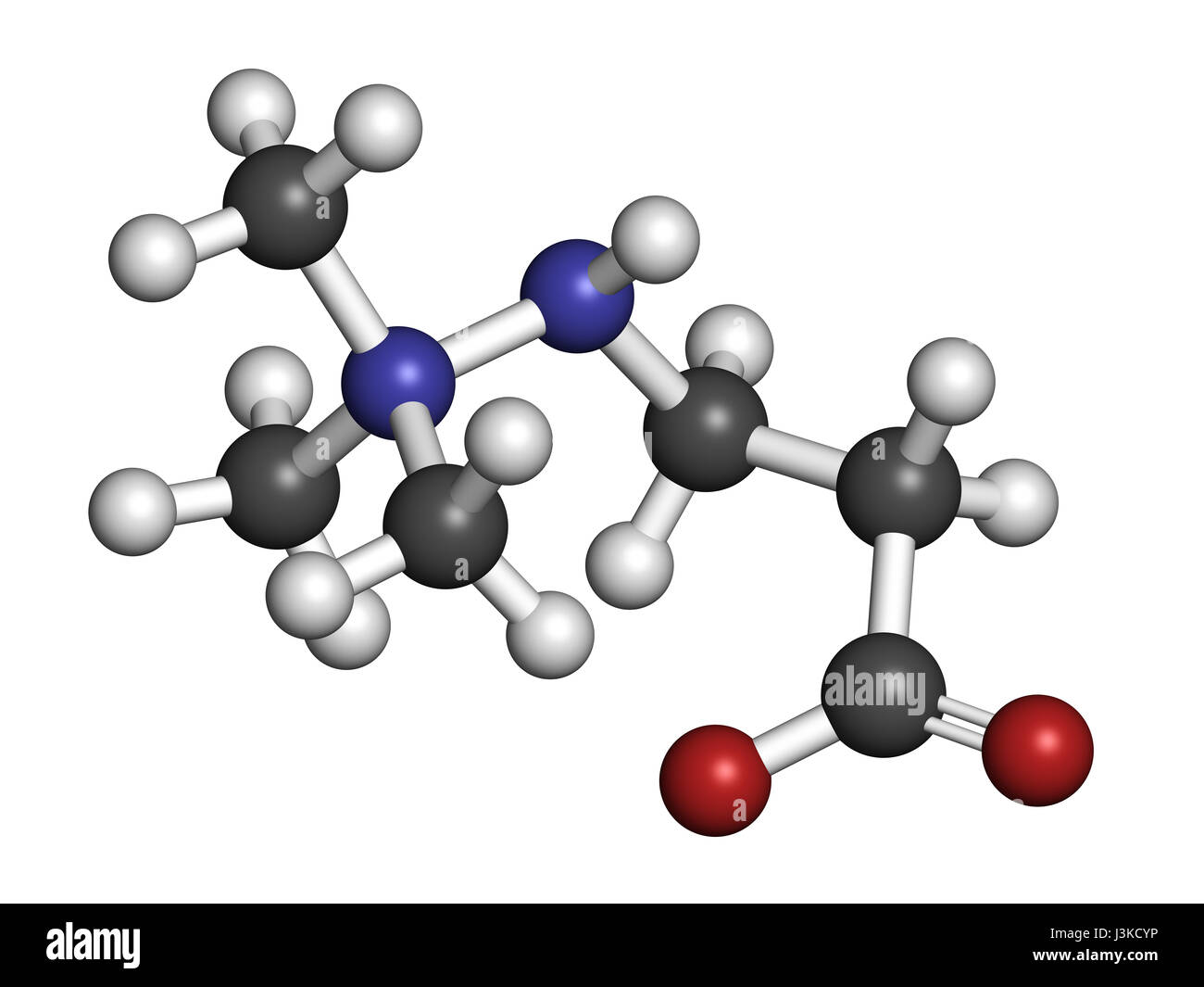 Meldonium anti-ischemic drug molecule. Used in treatment of angina and ...
