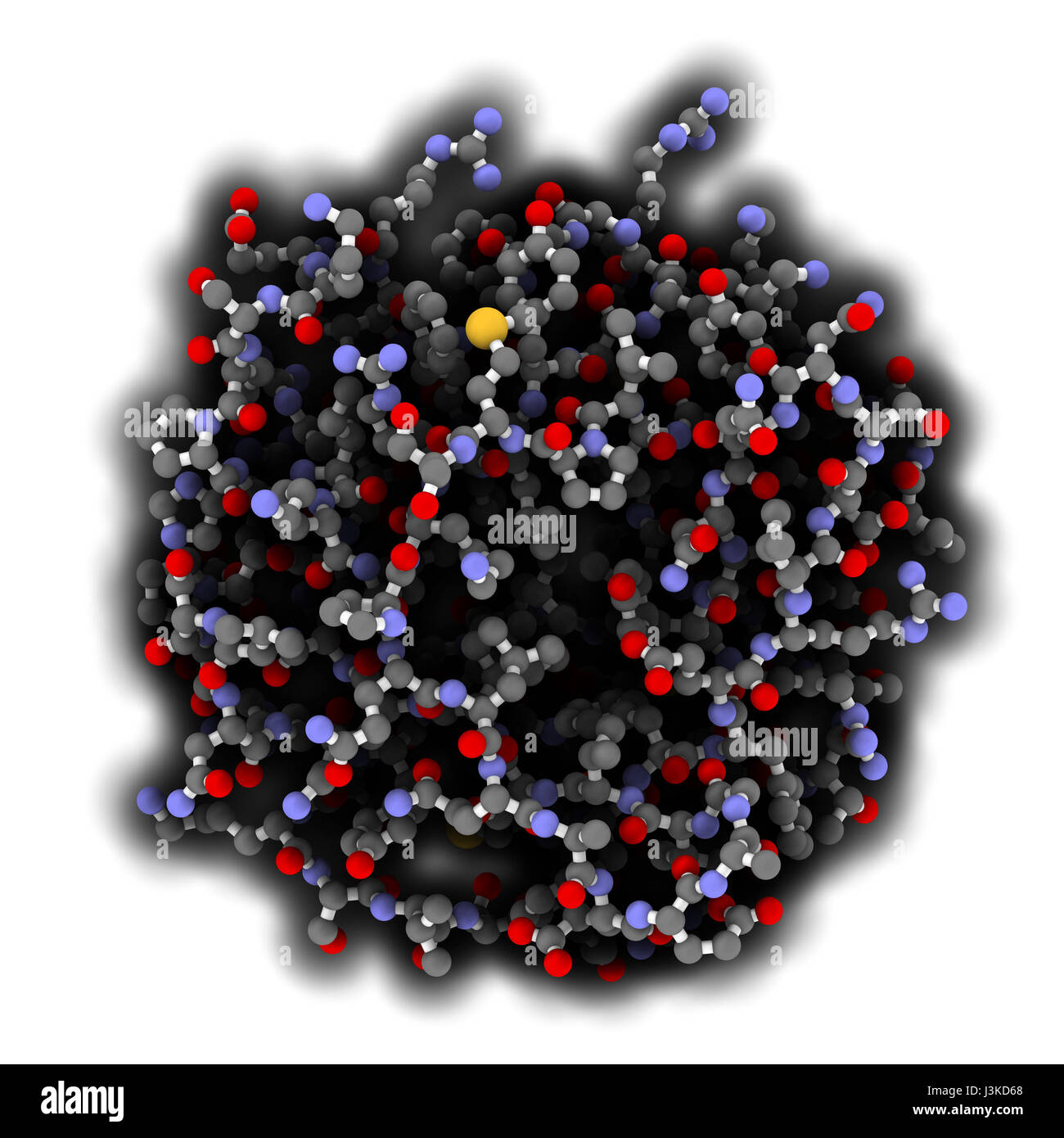 Basic fibroblast growth factor (bFGF) molecule. Plays role in wound ...