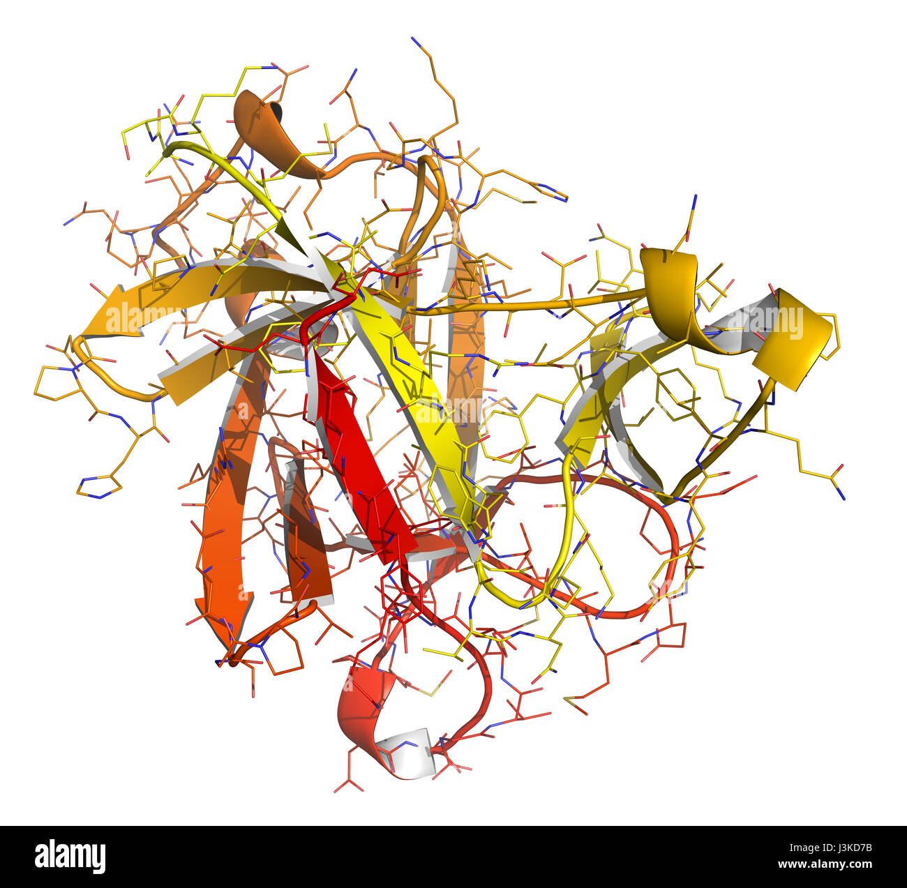 Rheuma structure hi-res stock photography and images - Alamy