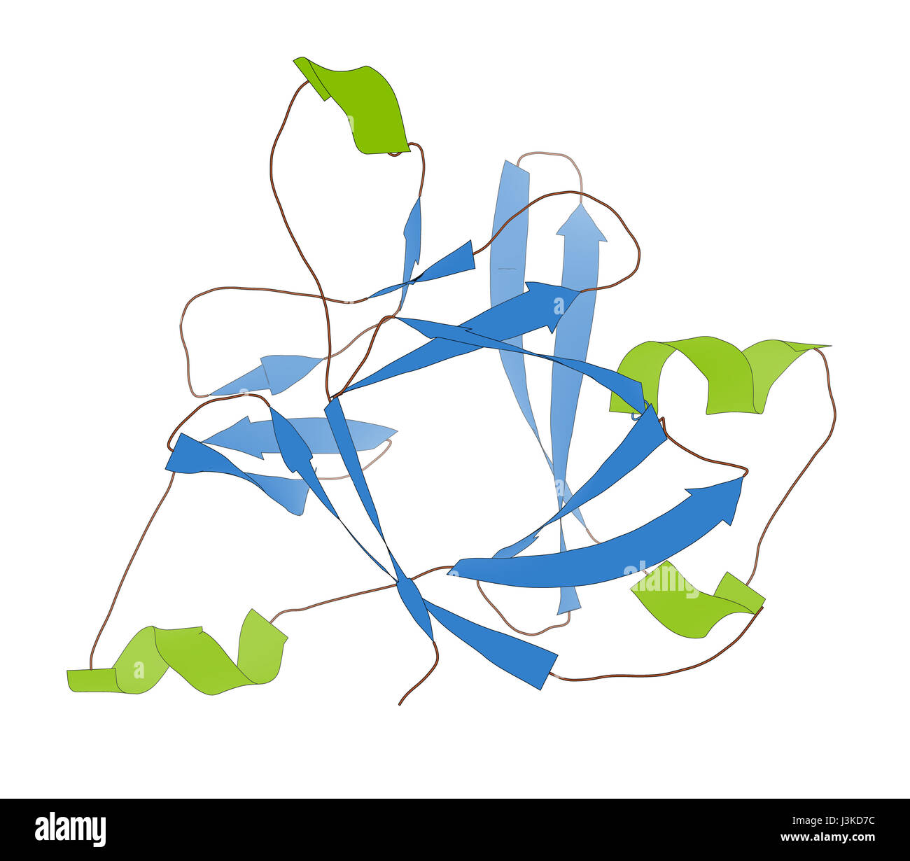 Anakinra rheumatoid arthritis drug, molecular structure. Recombinant ...