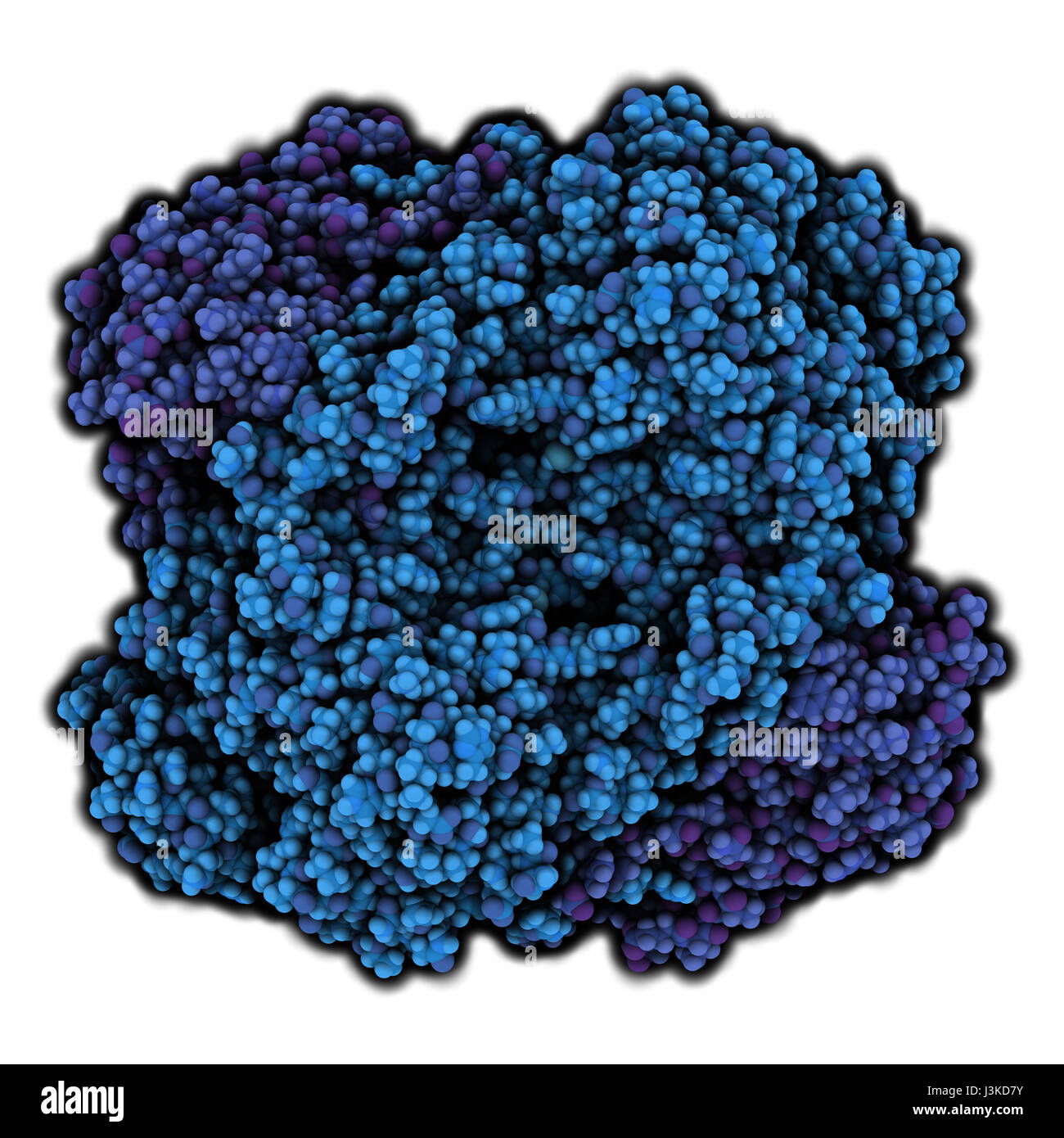 Human red blood cell catalase. Protects cell from damage by reactive ...