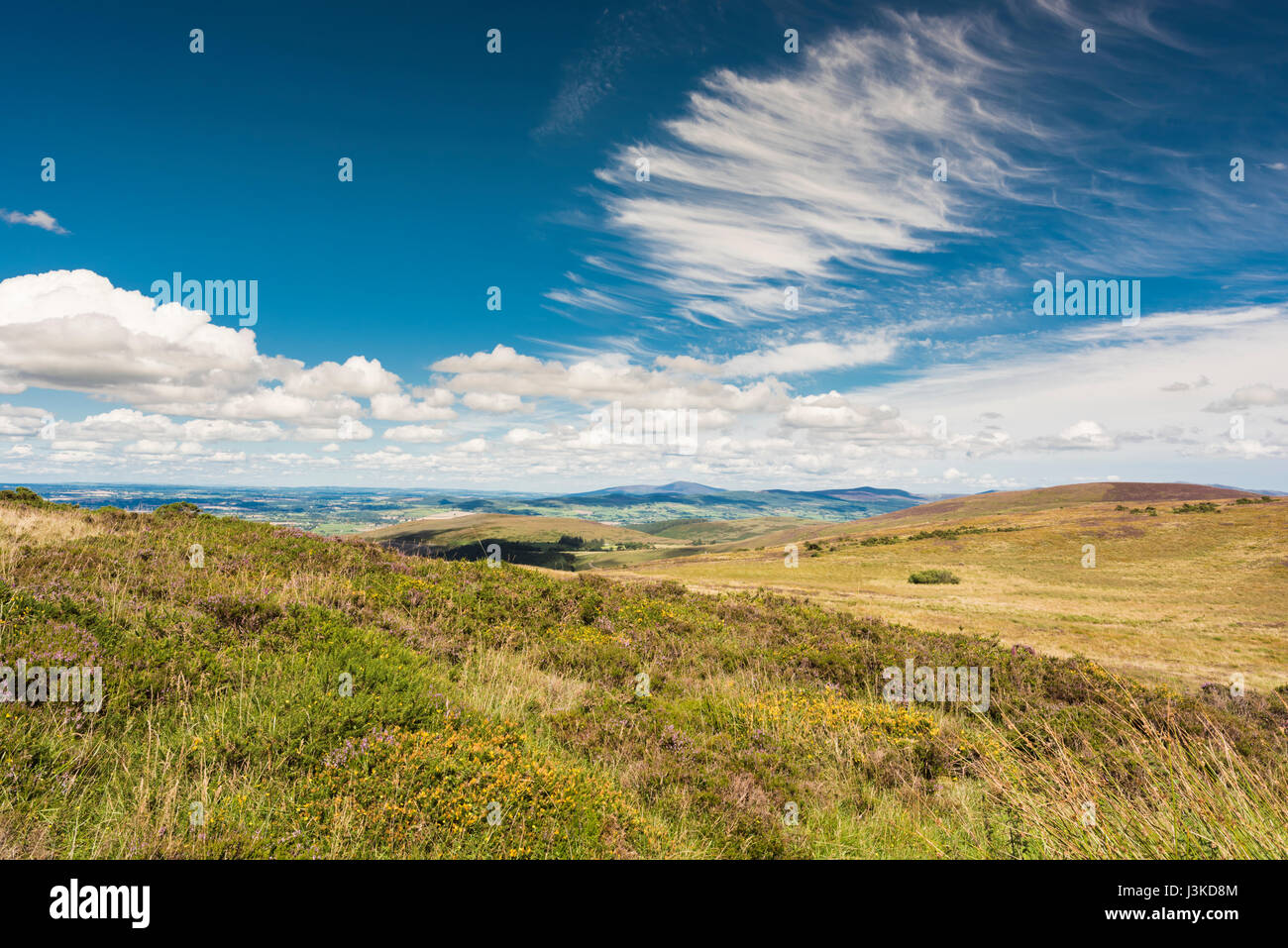 Golden vale county tipperary ireland hi-res stock photography and ...