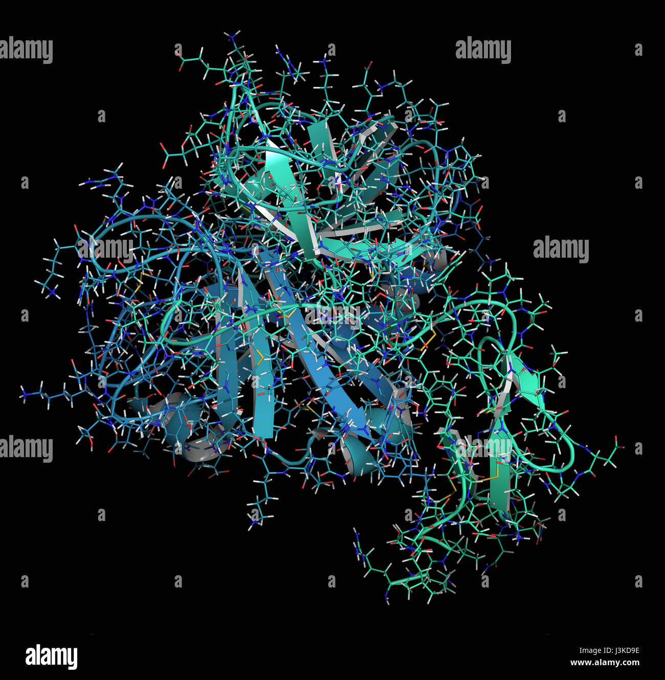 Blood coagulation factor Xa. Plays role in blood clotting and ...