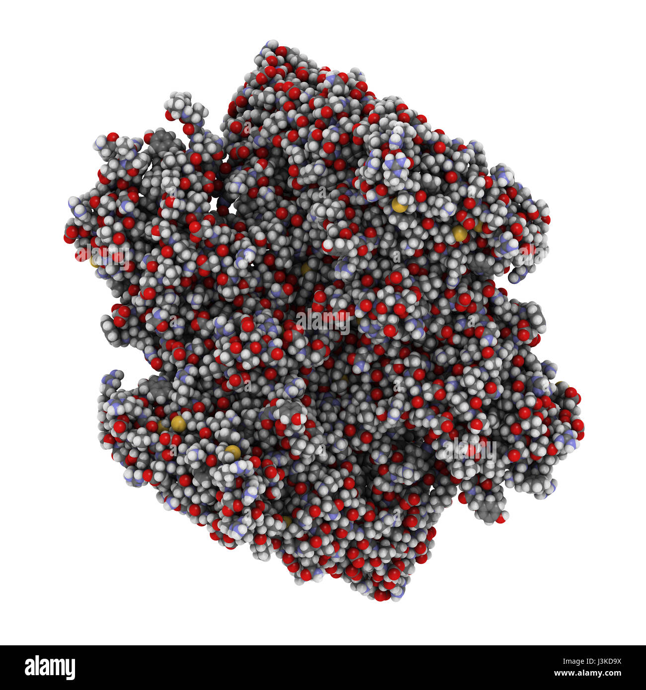 Coagulation factor XIII (FXIII, A subunits), molecular structure ...